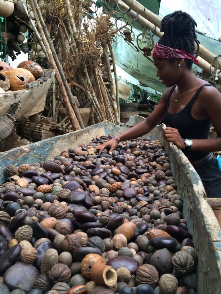 Back in Beautiful Biolley & On A Mission! – Community Service Costa ...